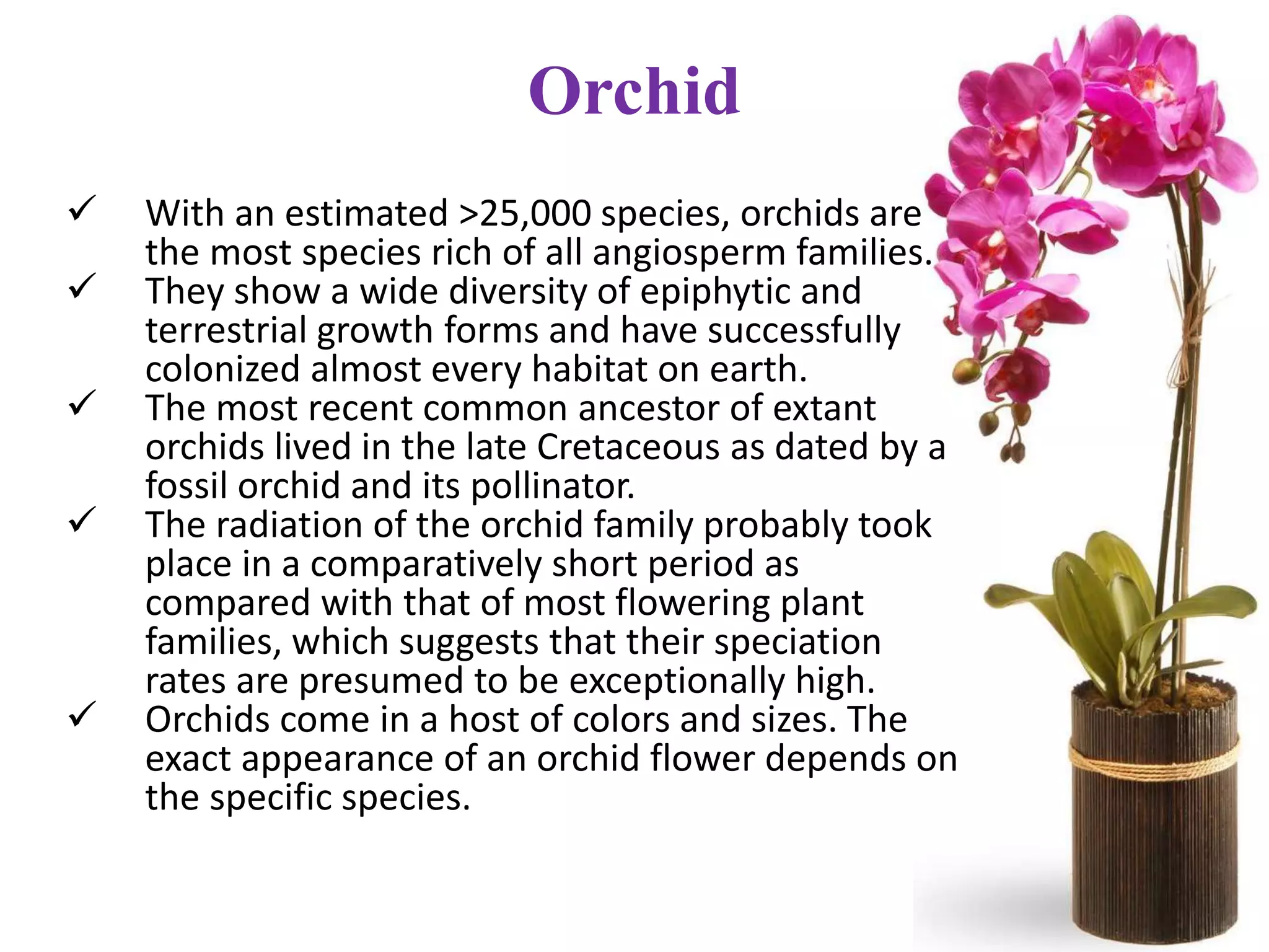 Orchid breeding: Recent advances in biotechnology | PPTX