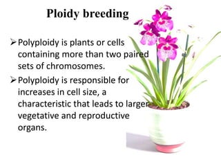 Orchid breeding: Recent advances in biotechnology | PPTX