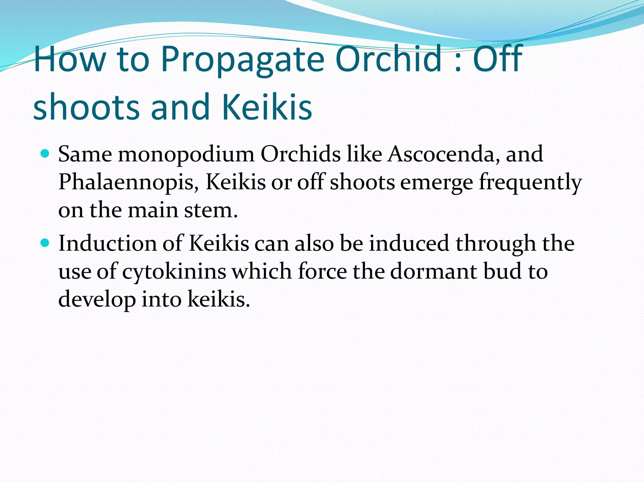 Orchids | PPTX