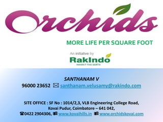 Orchids phase ii | PPSX