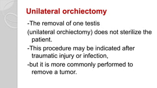 Orchiectomy | PPTX