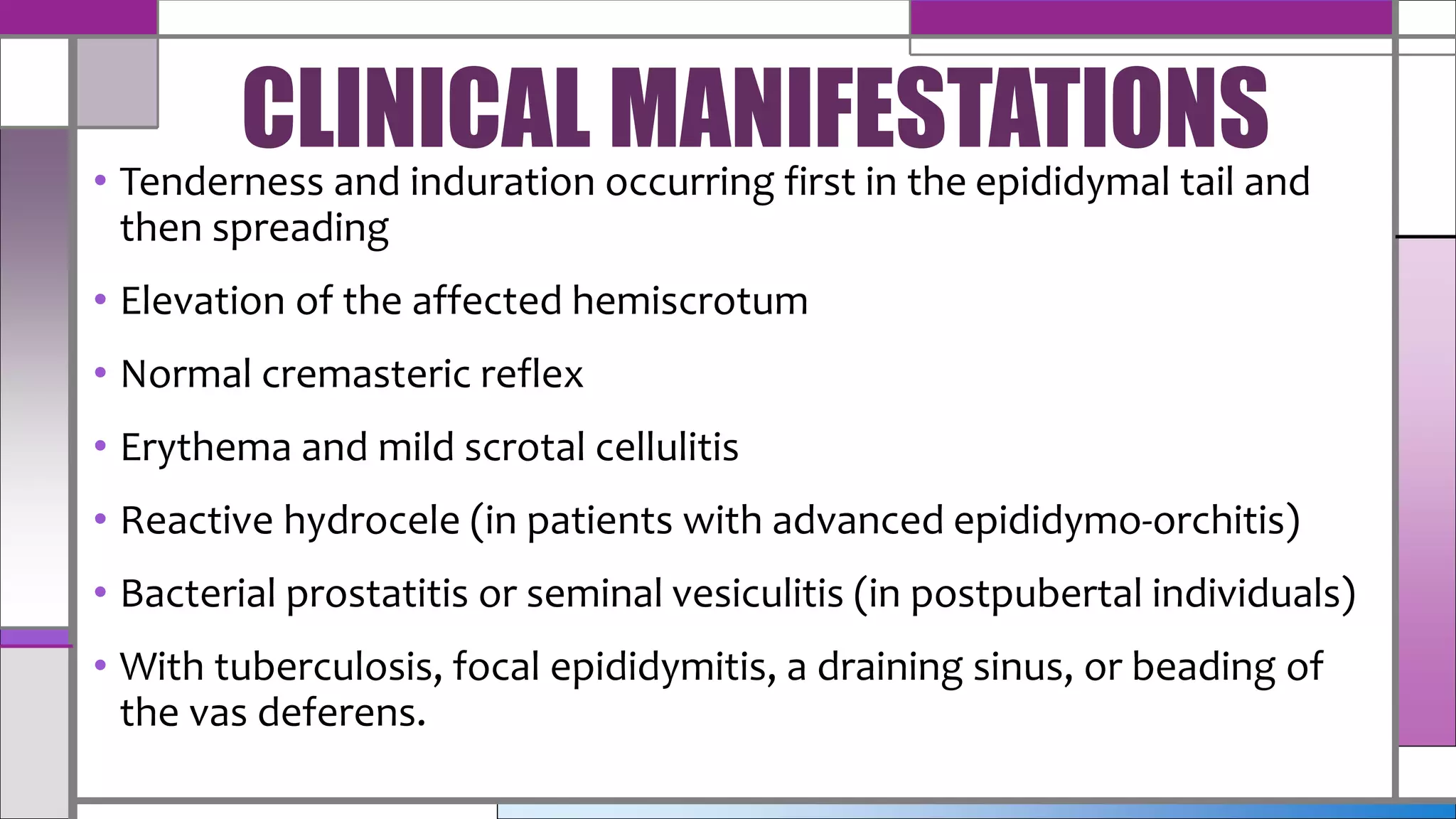 Orchitis & epididymitis | PPTX