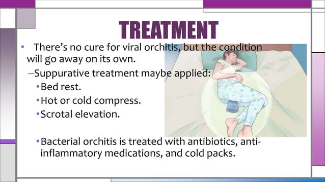 Orchitis & epididymitis | PPTX | Sexual Conditions | Sexual Health