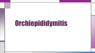 Orchitis & epididymitis | PPTX