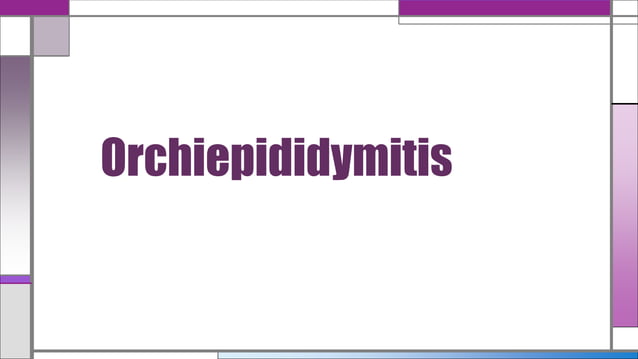Orchitis & epididymitis | PPTX | Sexual Conditions | Sexual Health