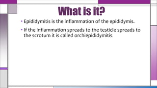 Orchitis & epididymitis | PPTX