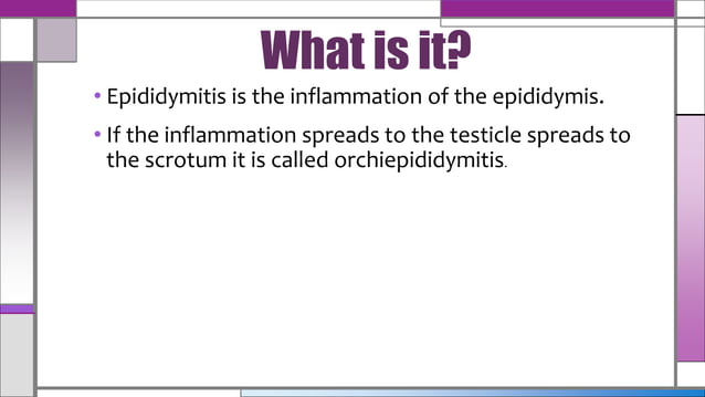 Orchitis & epididymitis | PPTX | Sexual Conditions | Sexual Health