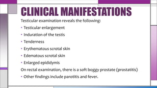 Orchitis & epididymitis | PPTX