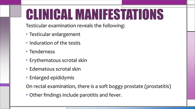 Orchitis & epididymitis | PPTX | Sexual Conditions | Sexual Health