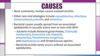 Orchitis & epididymitis | PPTX