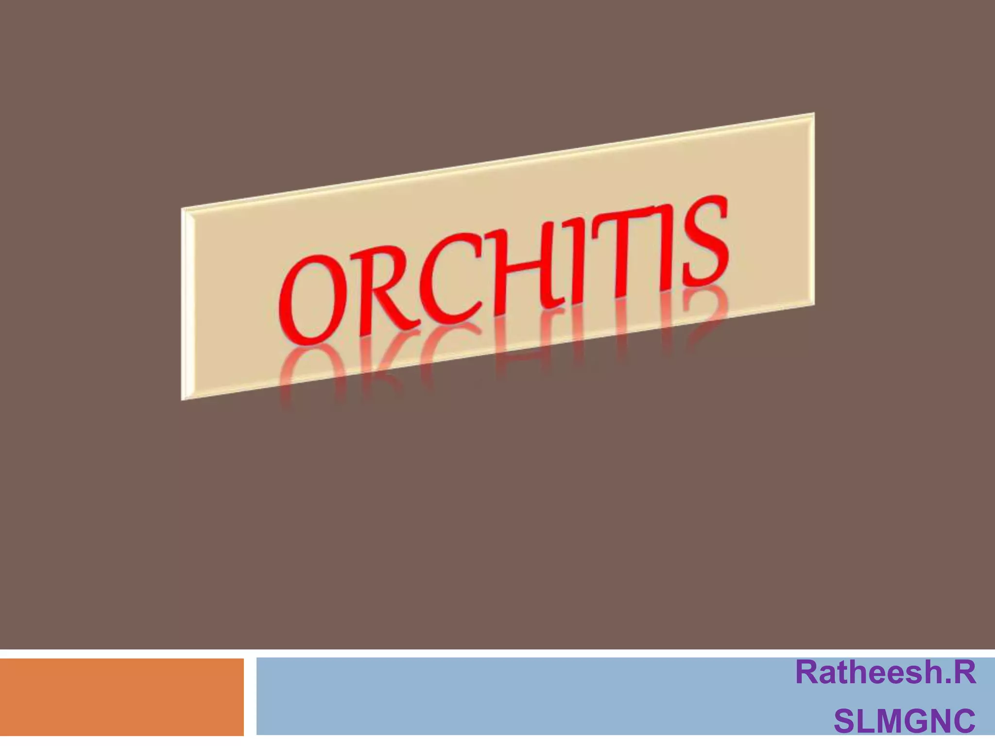 Orchitis | PPTX