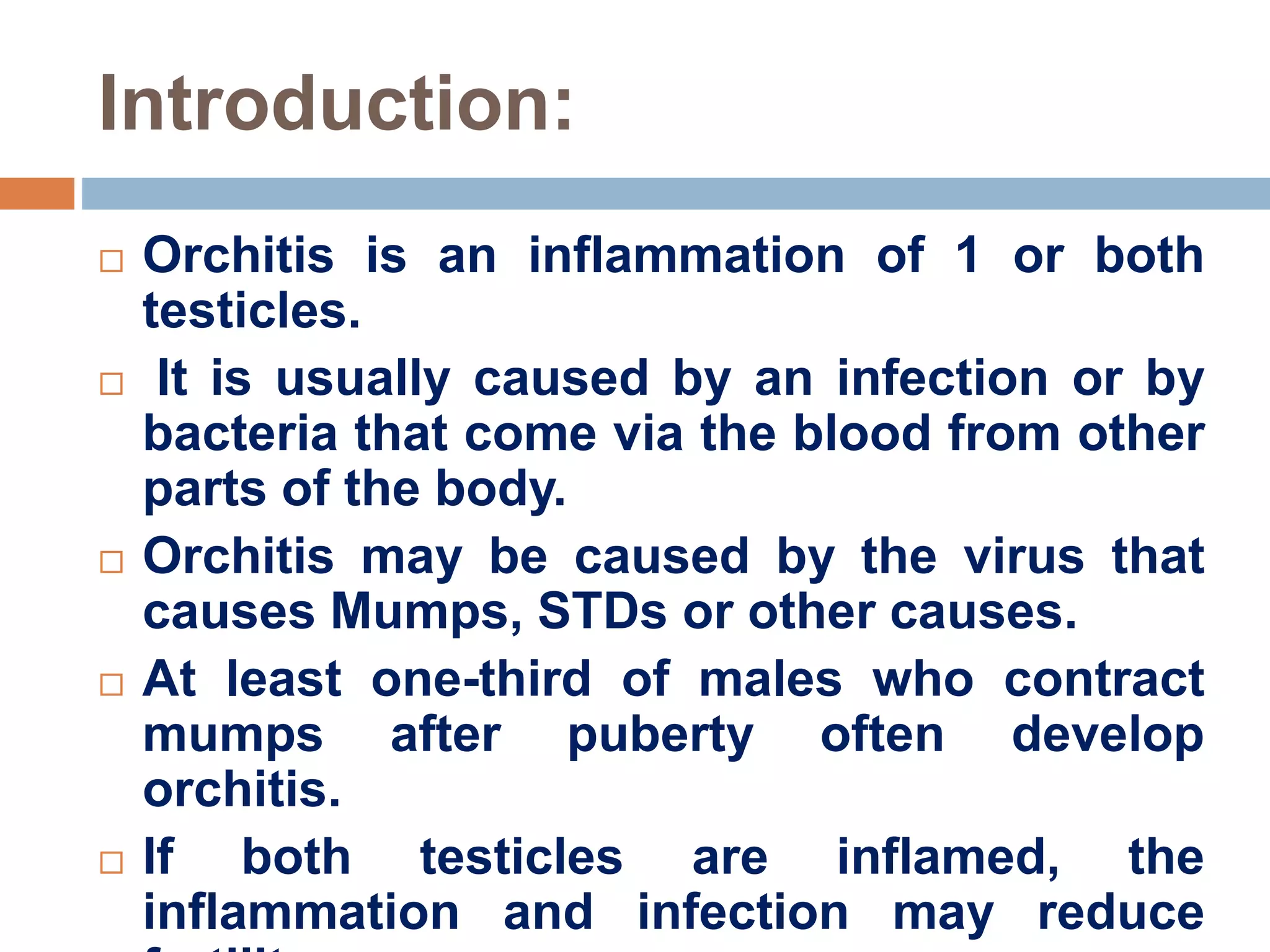 Orchitis | PPTX