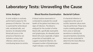 Orchitis-A Comprehensive Guide to Diagnosis and Management.pptx