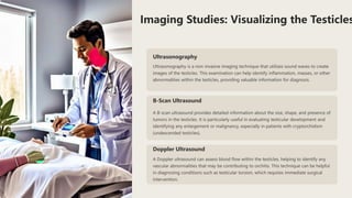 Orchitis-A Comprehensive Guide to Diagnosis and Management.pptx