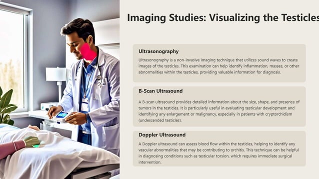 Orchitis-A Comprehensive Guide to Diagnosis and Management.pptx