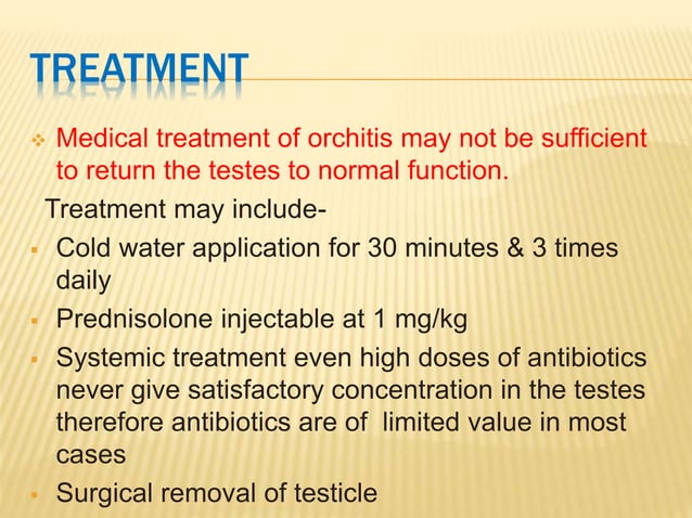 Orchitis in bull | PPT