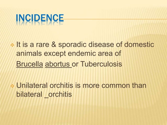Orchitis in bull | PPT