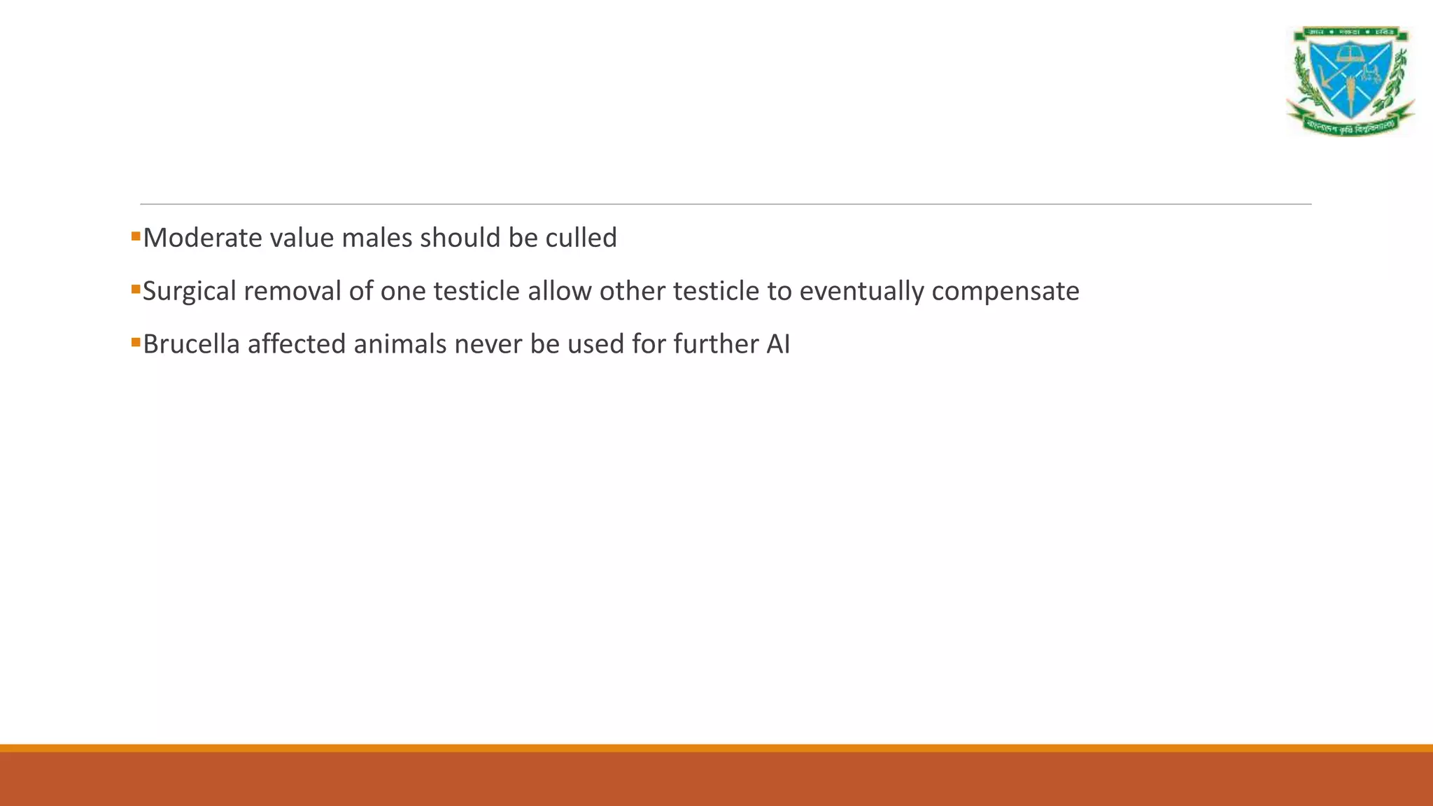 Orchitis in farm animals.pptx