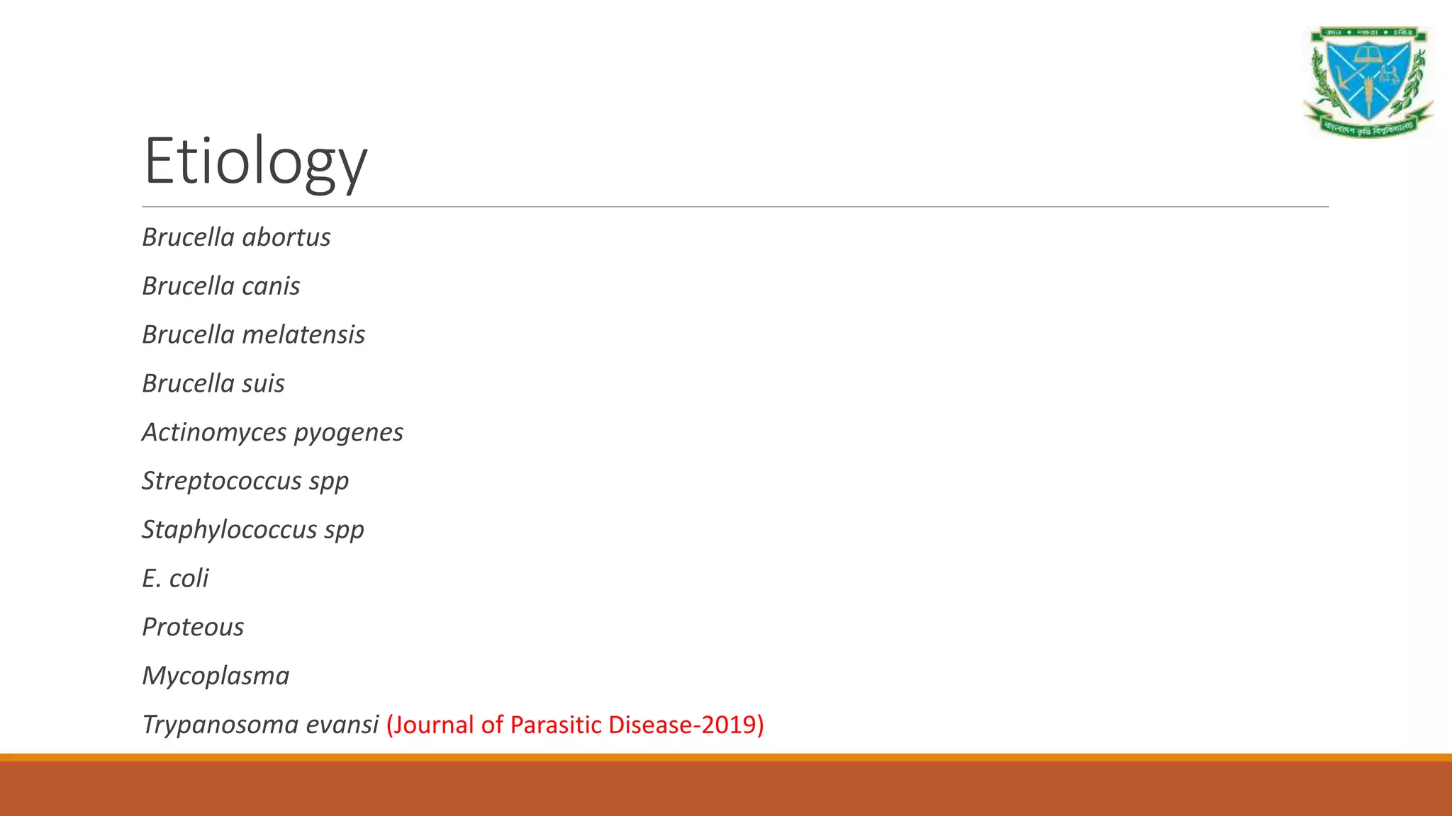 Orchitis in farm animals.pptx