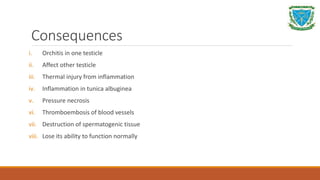 Orchitis in farm animals.pptx
