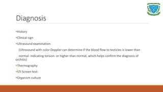 Orchitis in farm animals.pptx