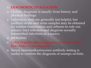 Orchitis and Urinary tract infection Dr Shahid.pptx