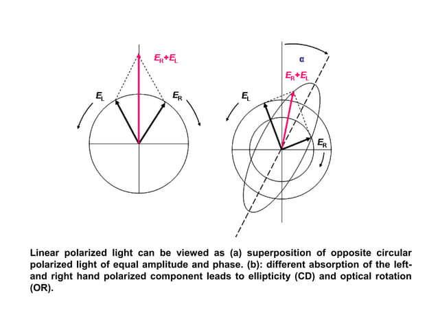 Optical Rotatory Dispersion | PPT | Chemistry | Science
