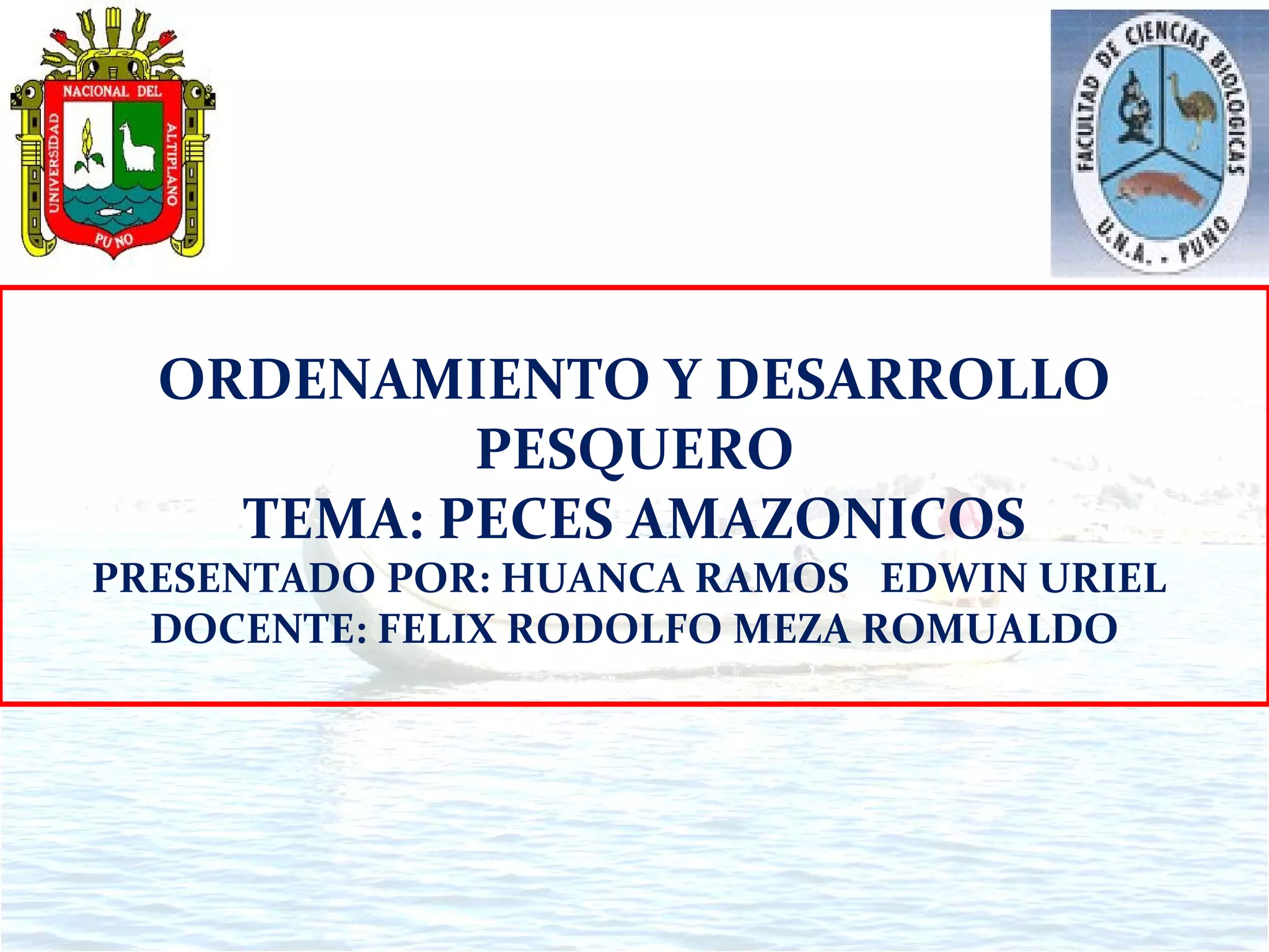 Peces Amazónicos del Perú | PPT