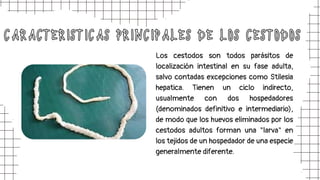 clase eucestoda anoplocephalidea | PDF