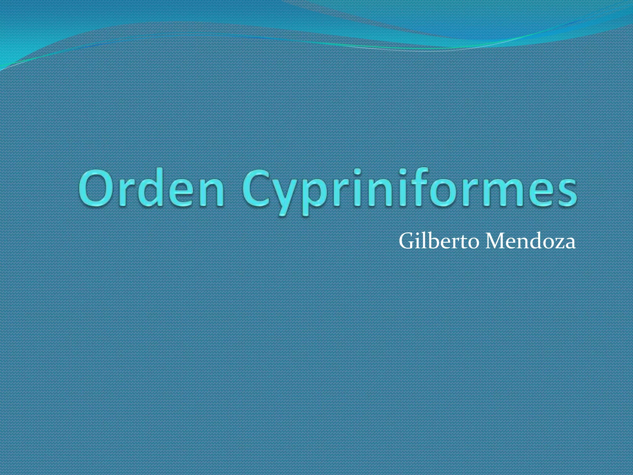 Orden cypriniformes | PPTX