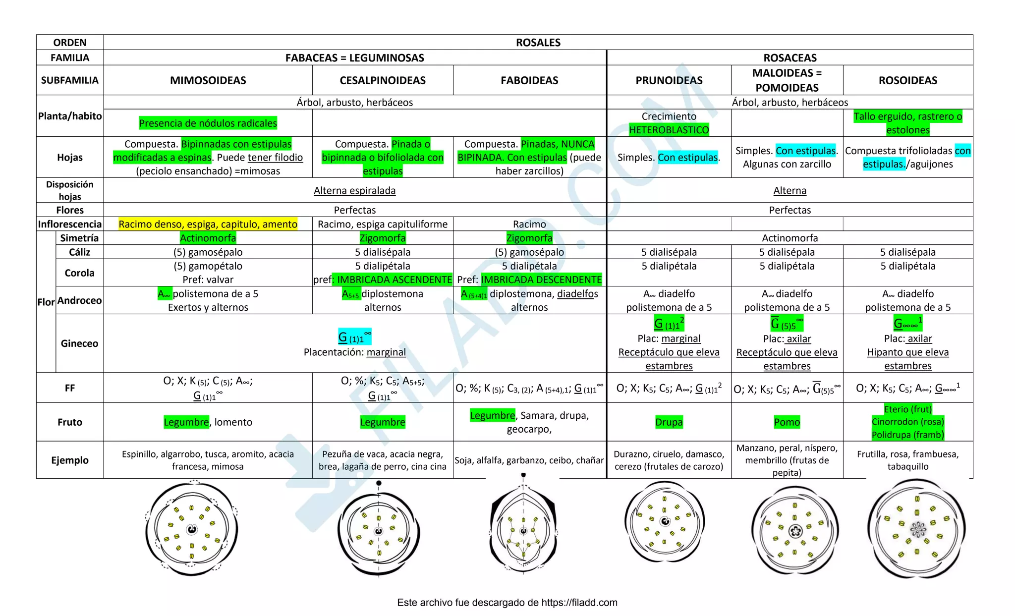 ORDENES.pdf