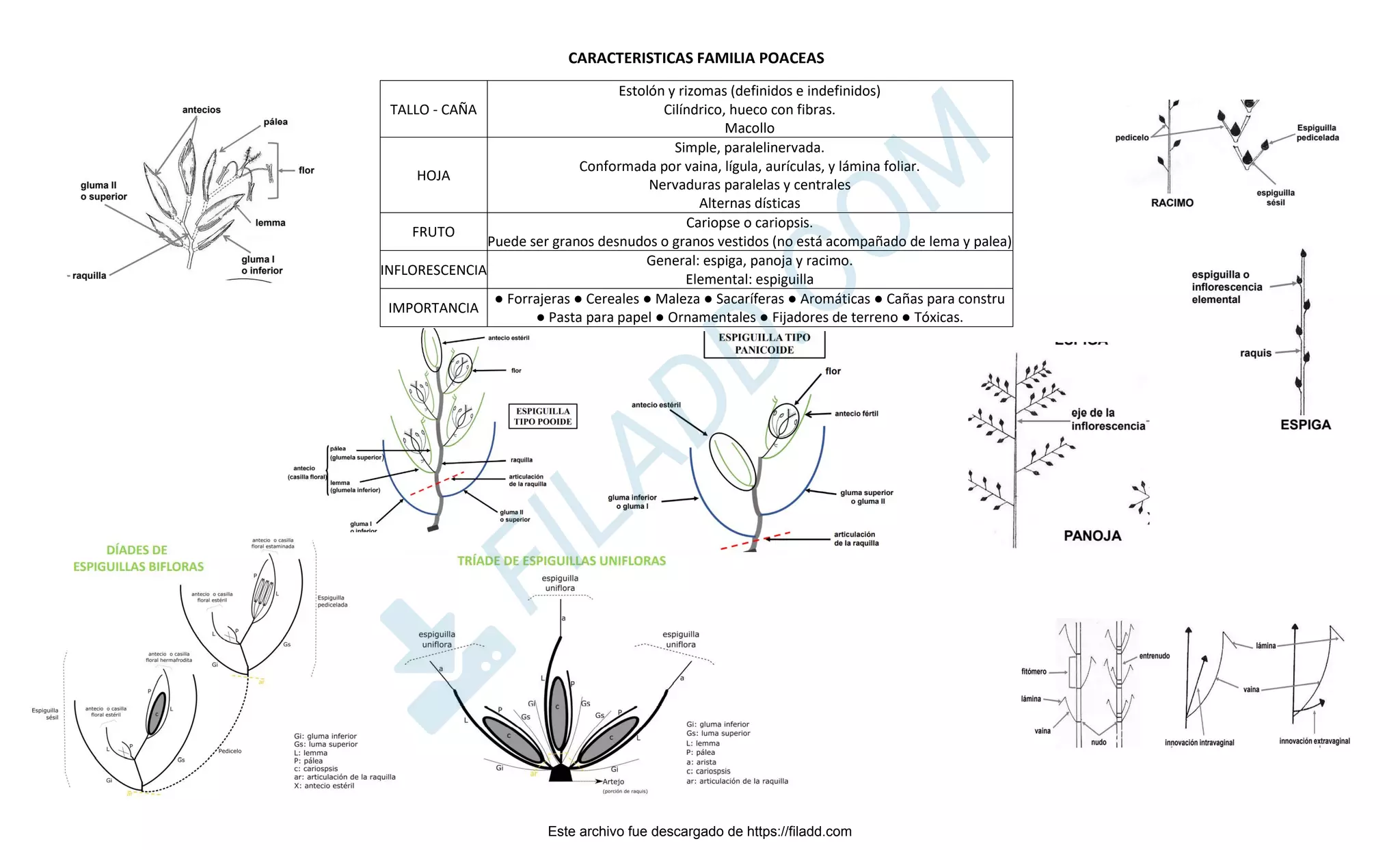 ORDENES.pdf