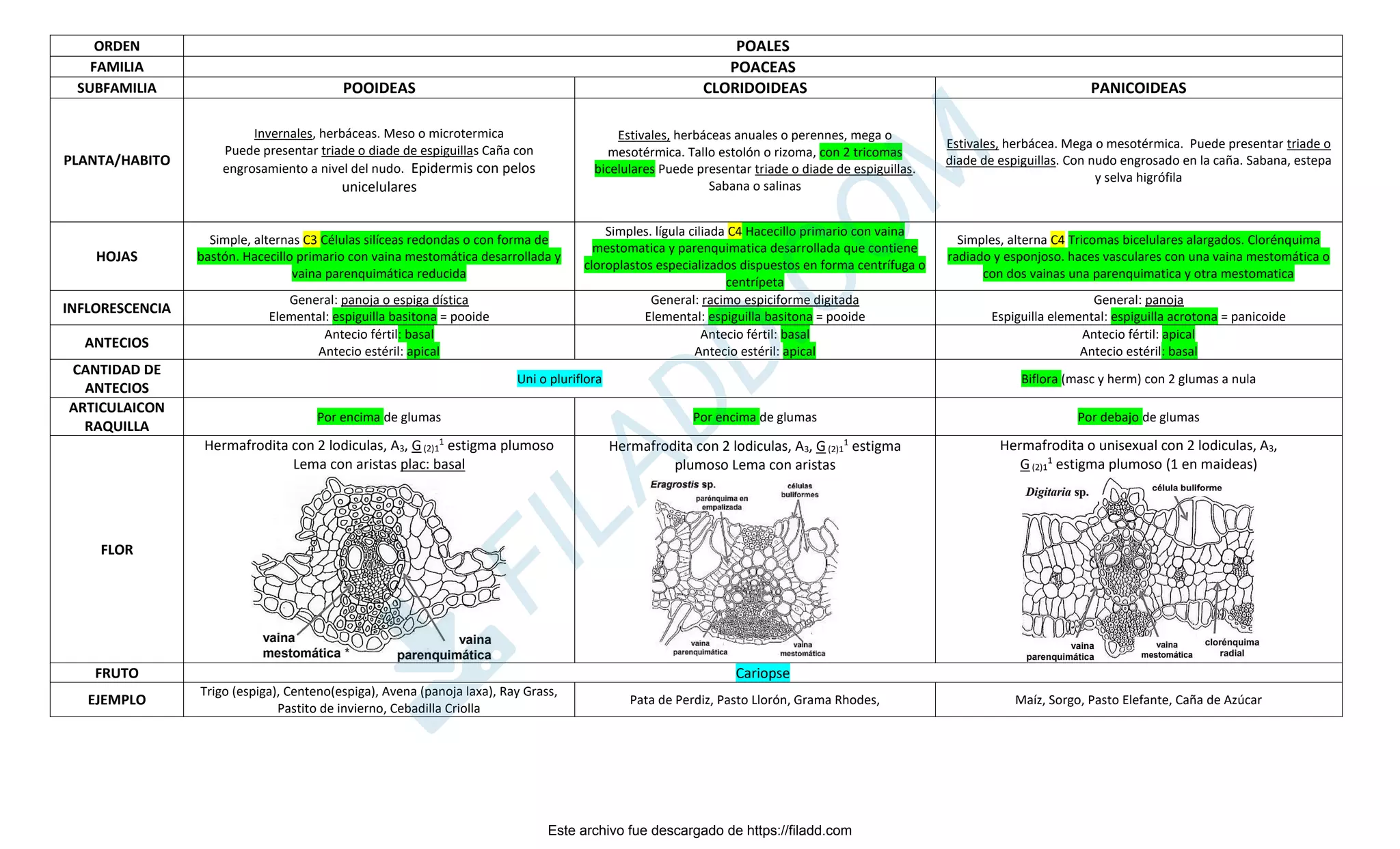 ORDENES.pdf