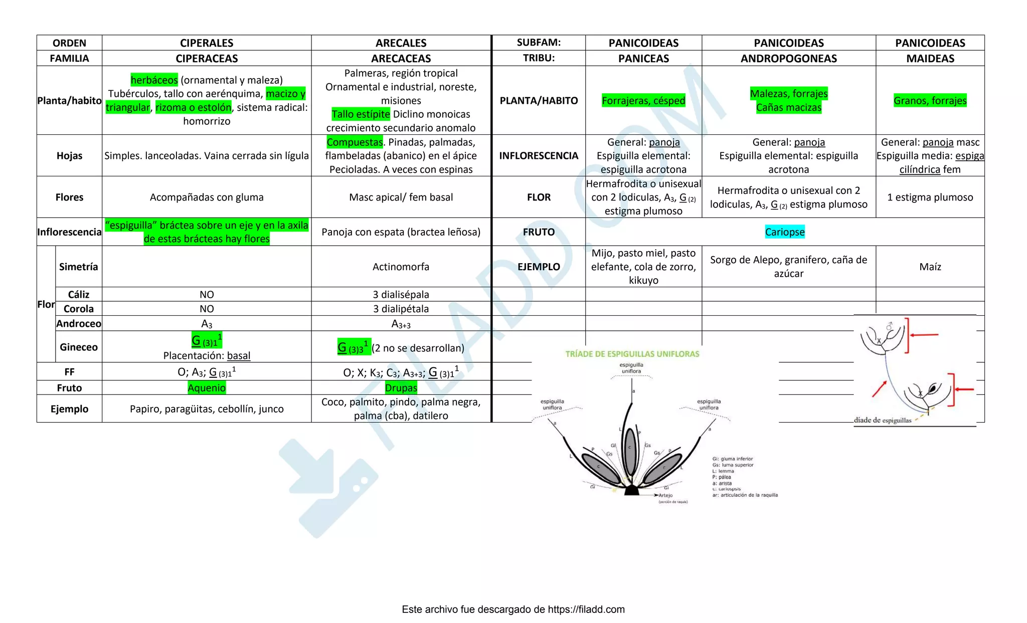 ORDENES.pdf