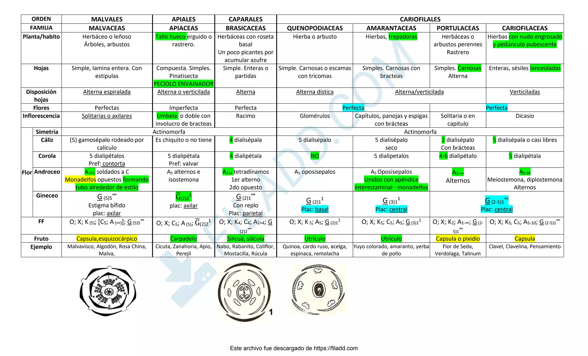 ORDENES.pdf