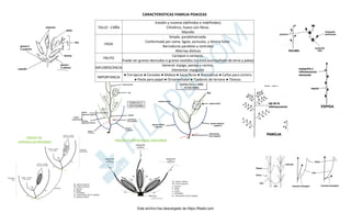 ORDENES.pdf