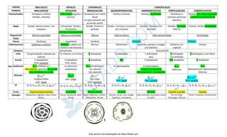 ORDENES.pdf
