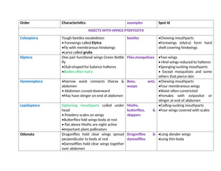 All about insects orders and their lives.docx