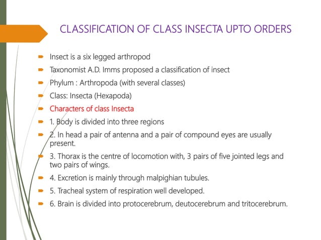 Insect Order : apterygota | PPTX