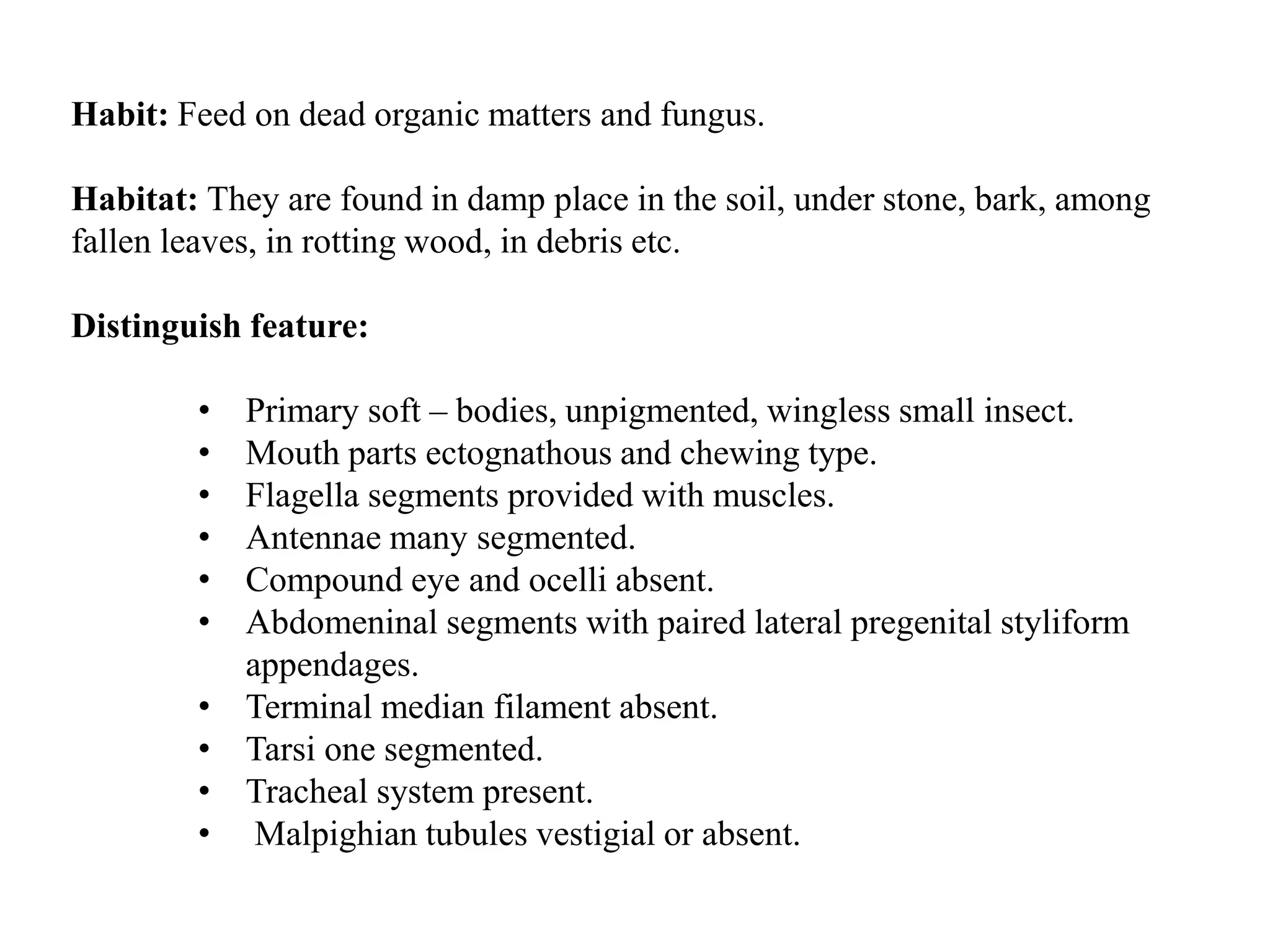 Order: Collembola and Diplura | PPTX