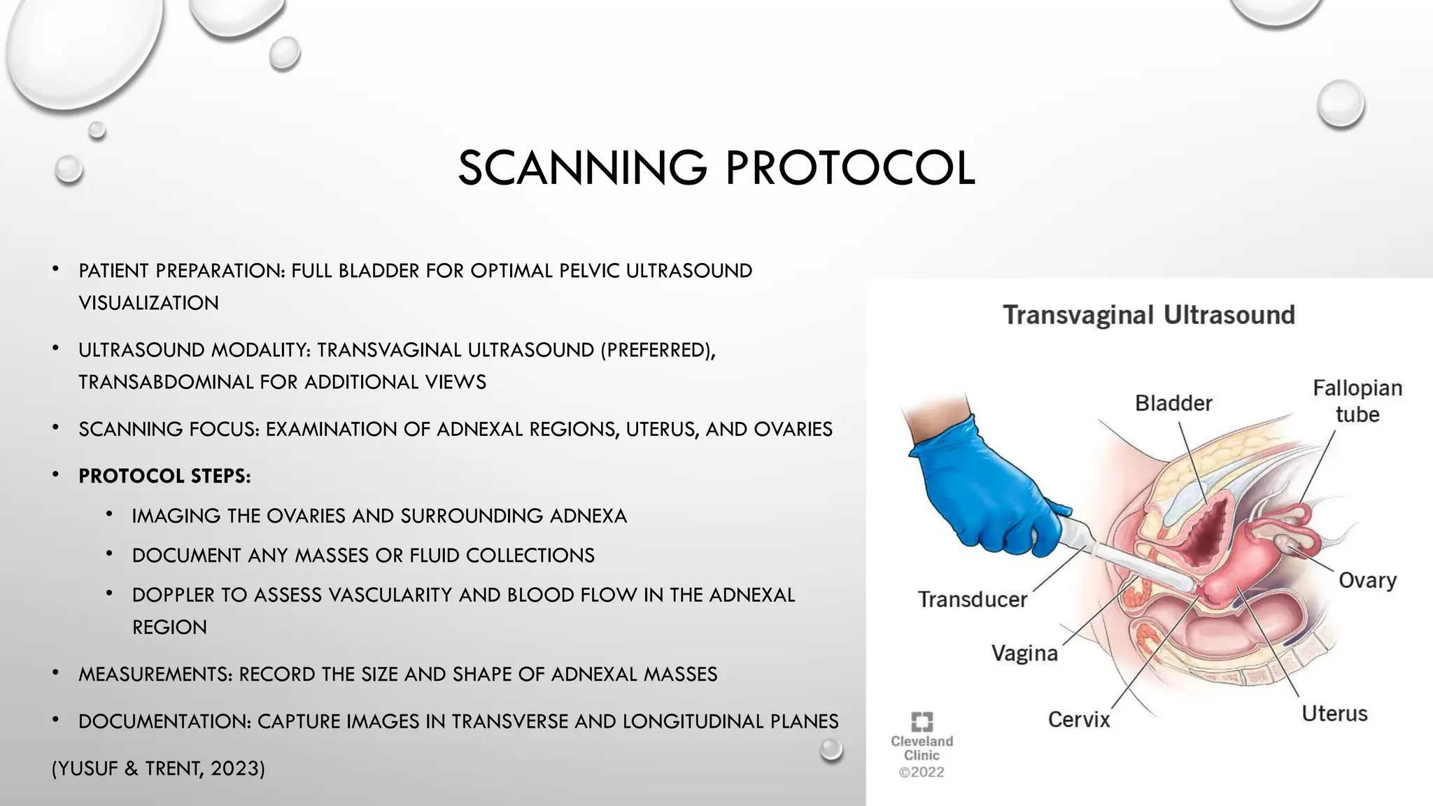 Order 8237602 homework notes reading.pptx