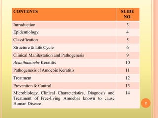 Order amoebidae | PPTX