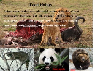 Order carnivora Prepared, Edited and shared by Abdul Qahar | PPTX