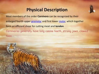 Order carnivora Prepared, Edited and shared by Abdul Qahar | PPTX