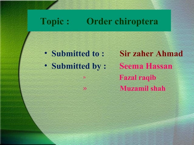Order chiroptera | PPT | Biological Sciences | Science