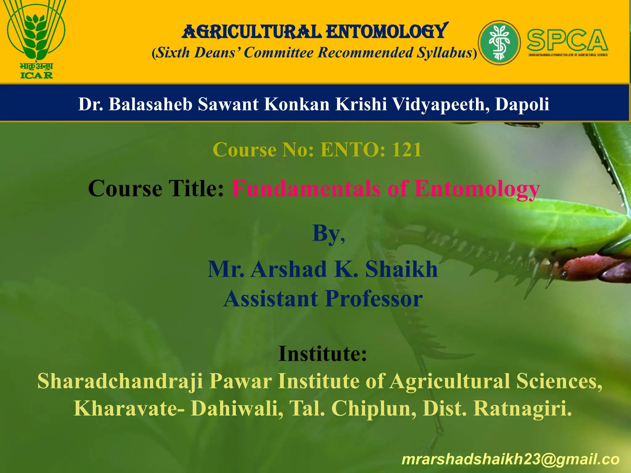 "Dictyoptera: The Order of Cockroaches and Mantises" Or, more ...