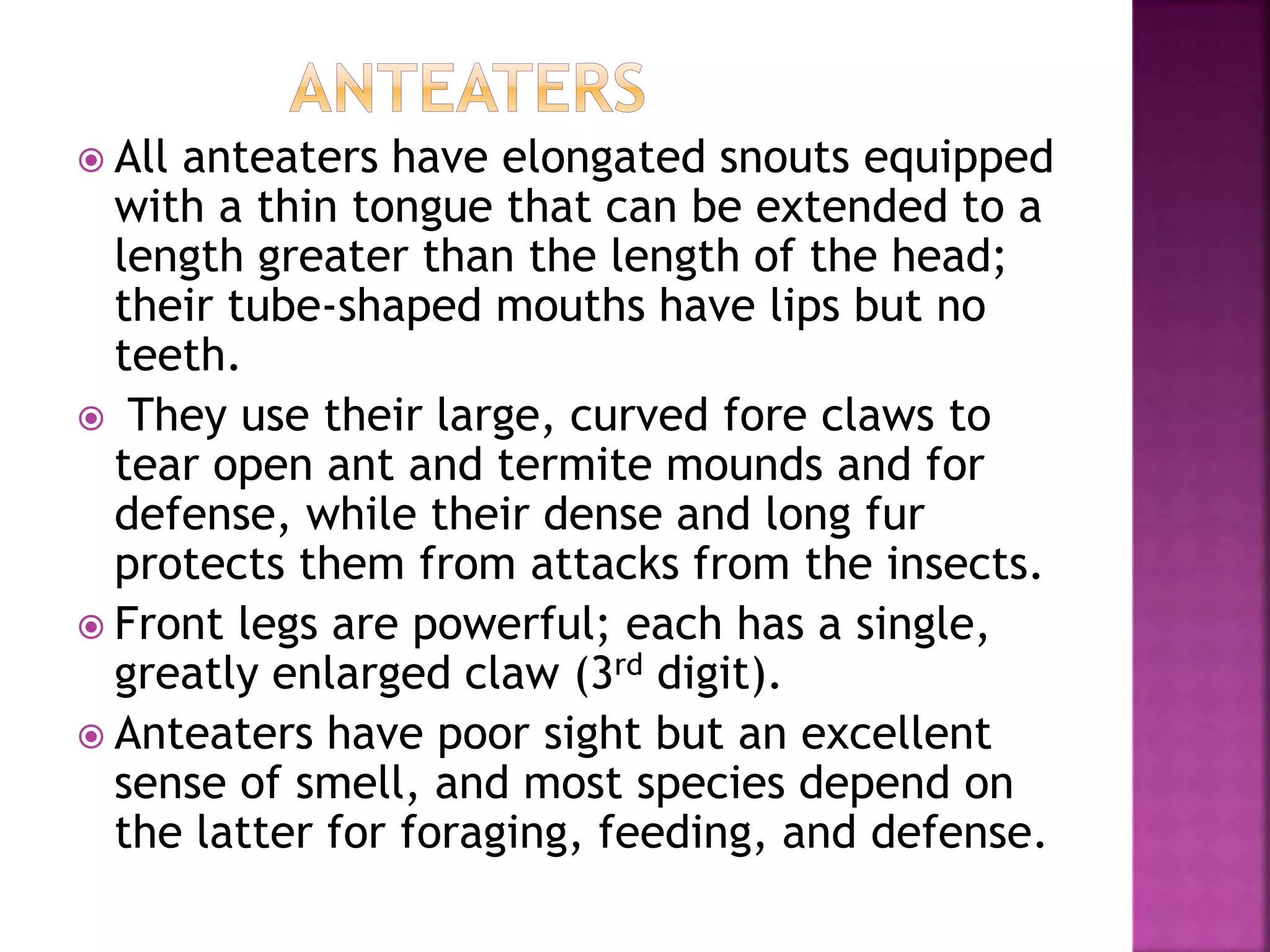 Order Edentata or Xenarthra | PPTX