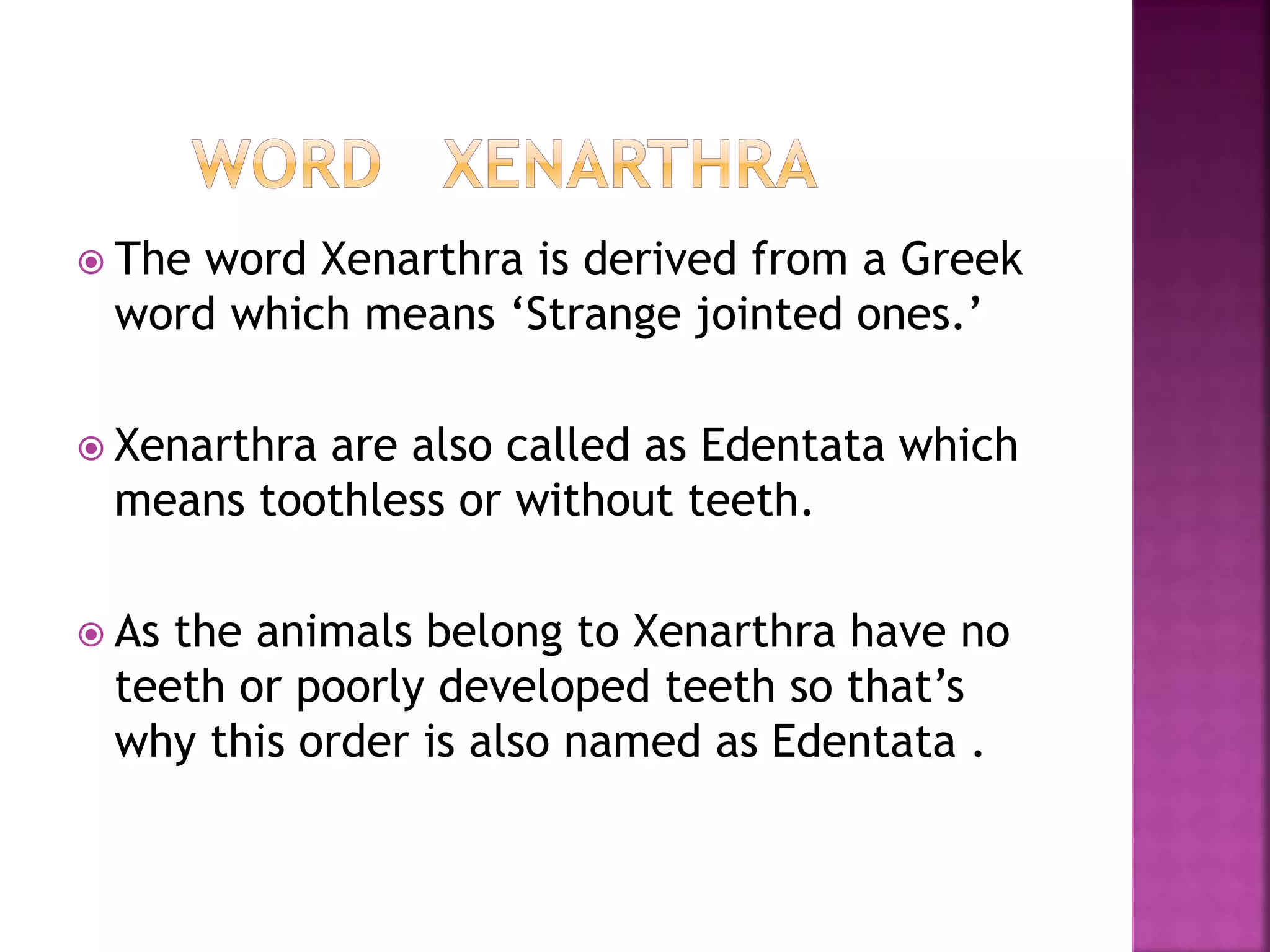 Order Edentata or Xenarthra | PPTX