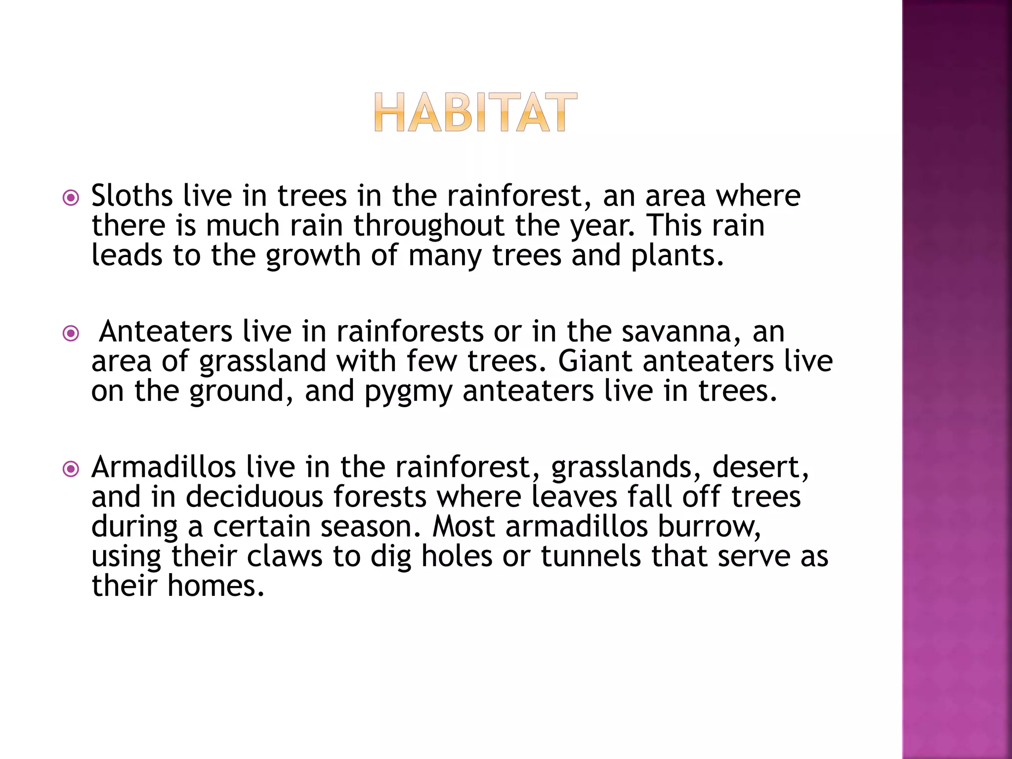 Order Edentata or Xenarthra | PPTX