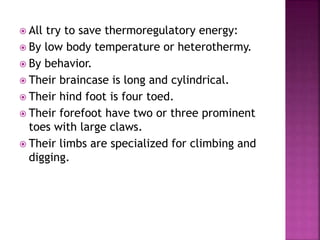 Order Edentata or Xenarthra | PPTX